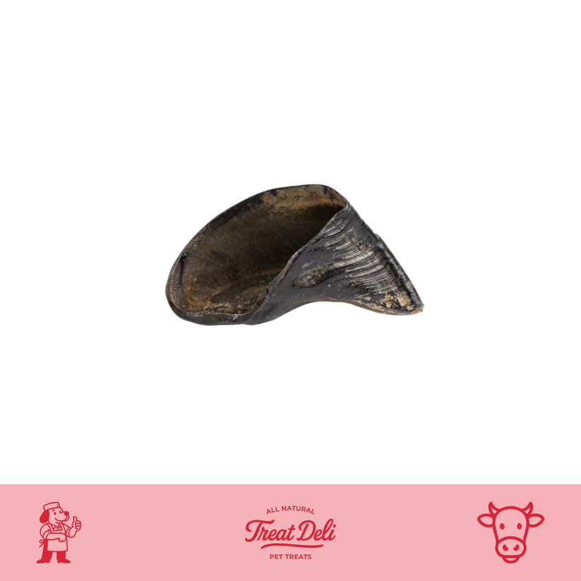 Beef Hoof (Australian) – Treat Deli