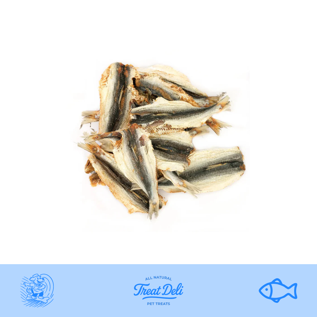 Split Sardines (Australian) – Treat Deli